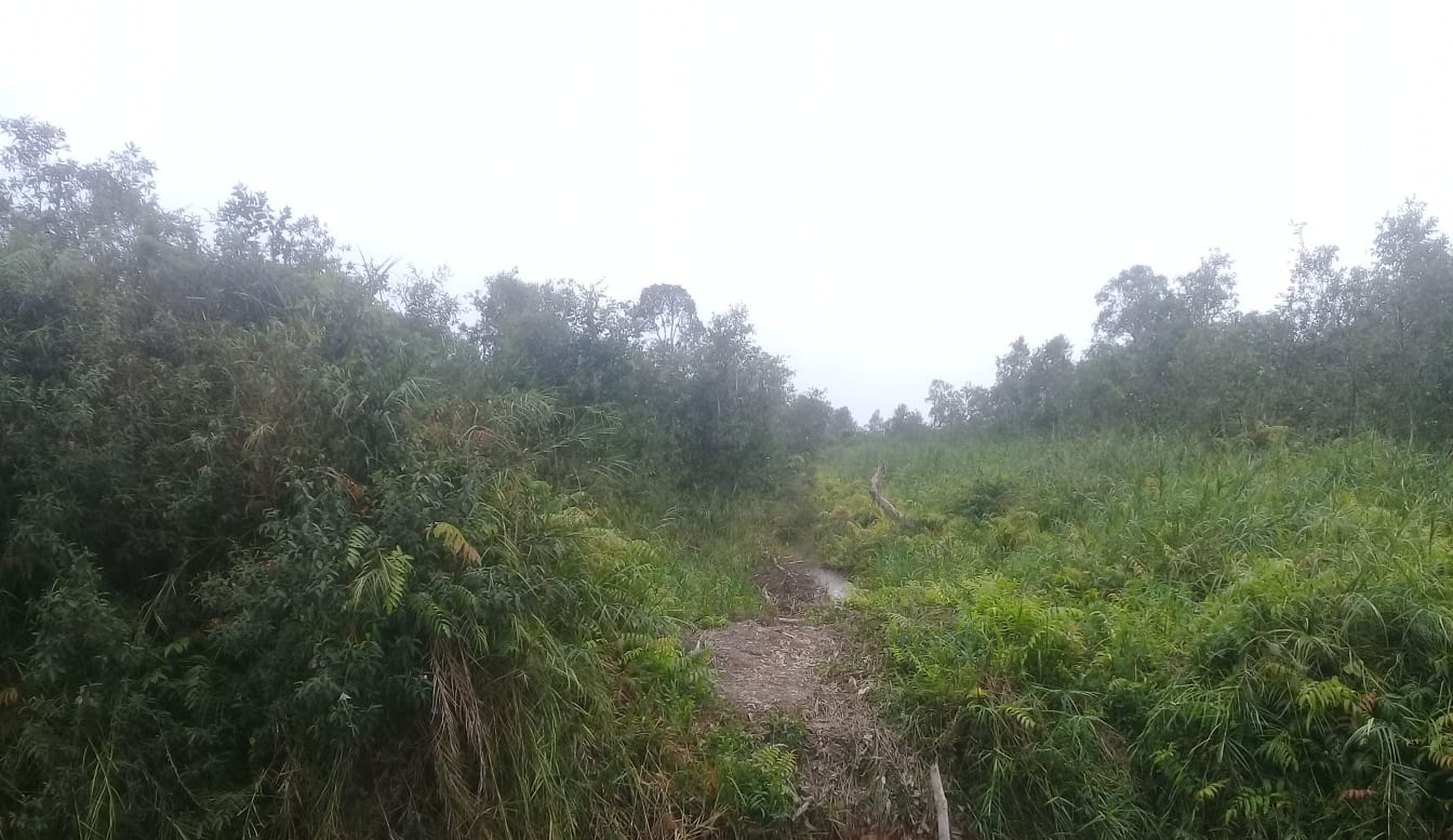 Dijual Tanah Jalan Tanjung Api Api dekat Komplek Pergudangan Prima Star ...